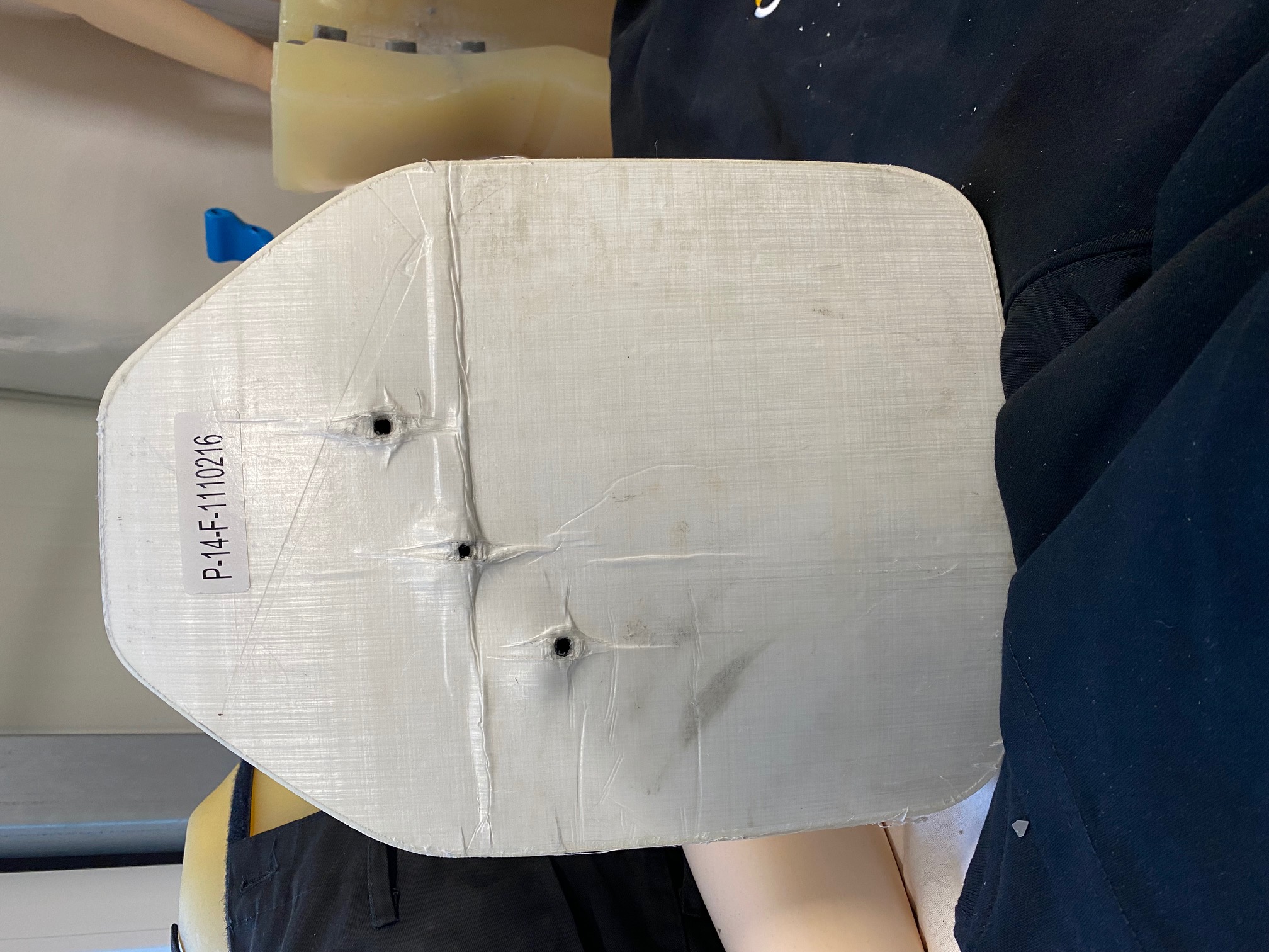 Customized Dummys - Biofidelic dummy - ATD-Dummy | CTS | crashtest ...