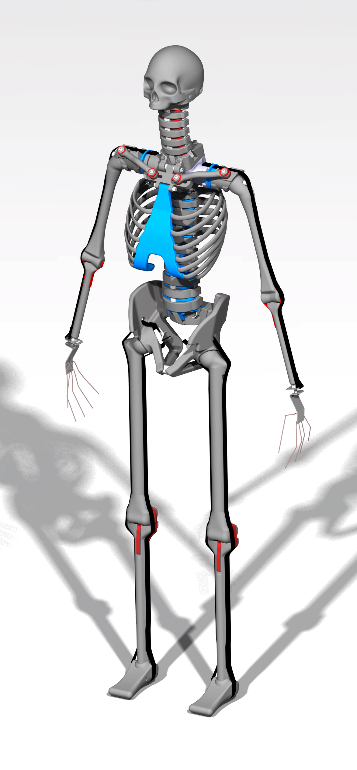 Measurement technology - Biofidelic dummy - ATD-Dummy | CTS | crashtest ...