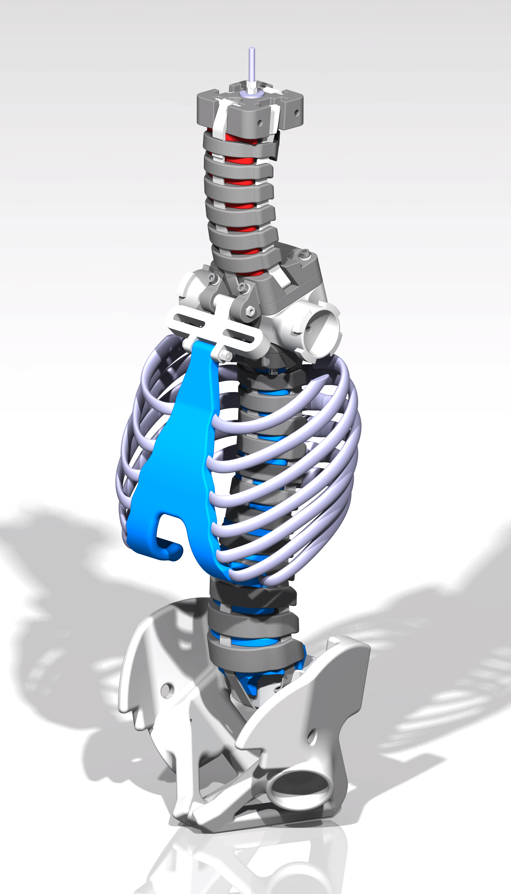 Measurement technology - Biofidelic dummy - ATD-Dummy | CTS | crashtest ...