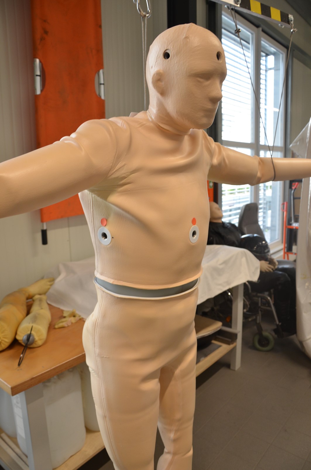 Customized Dummys - Biofidel-Dummy - Dummys | CTS | crashtest-service ...