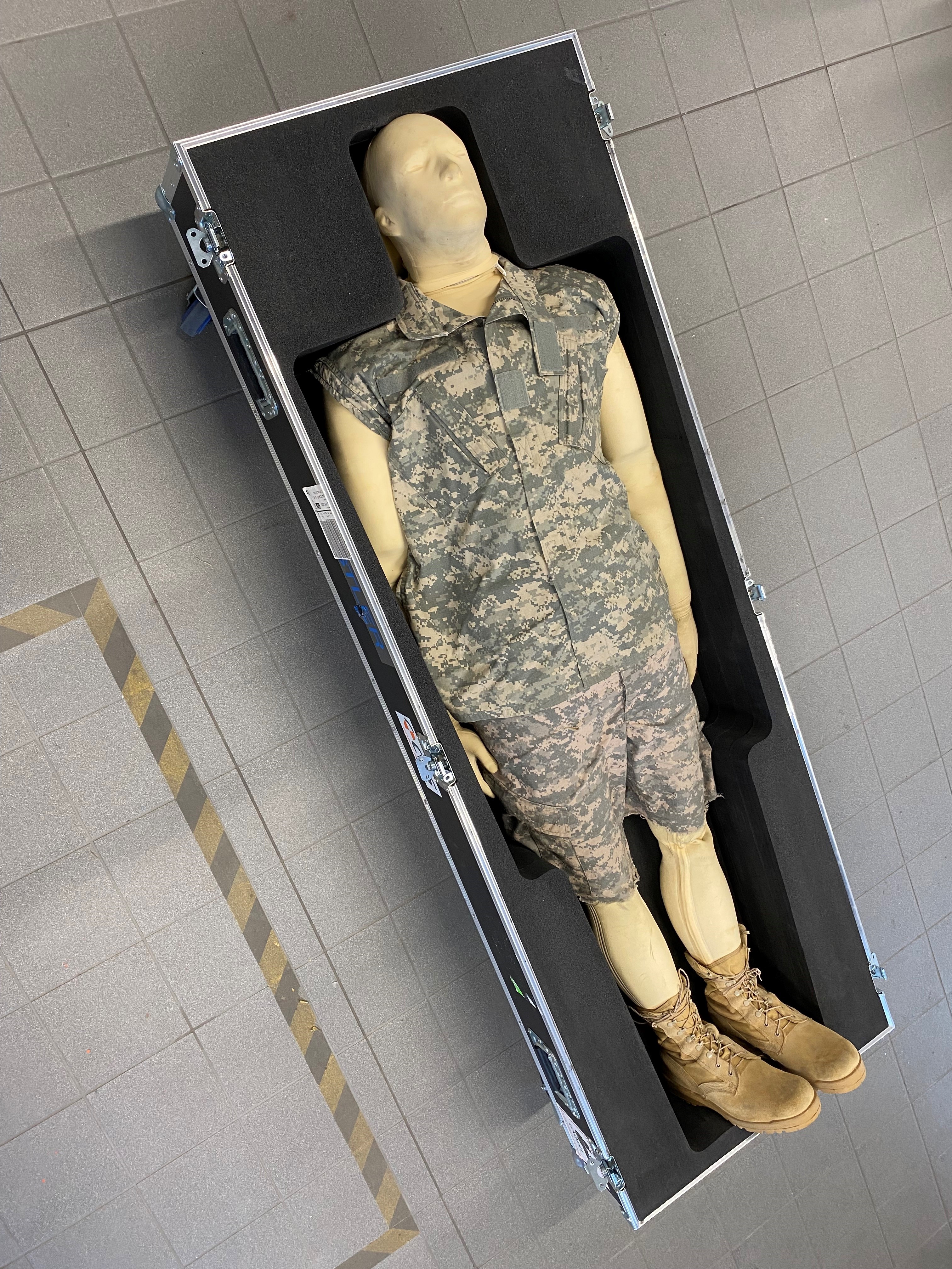 Application examples - Biofidelic dummy - ATD-Dummy | CTS | crashtest ...